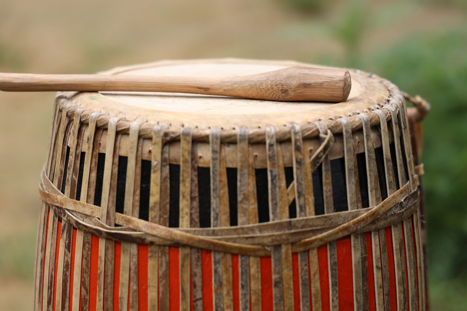 Membranophone - Musical roots of Assam
